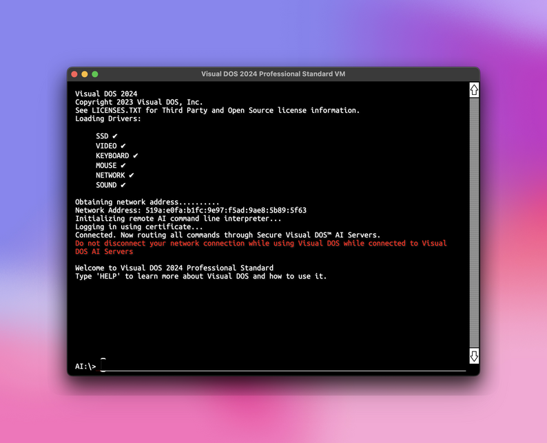 Visual DOS 2024 Professional Standard by Abbie Gonzalez