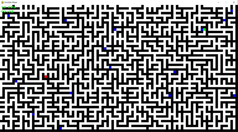 Invisible Maze by g_Bloxy
