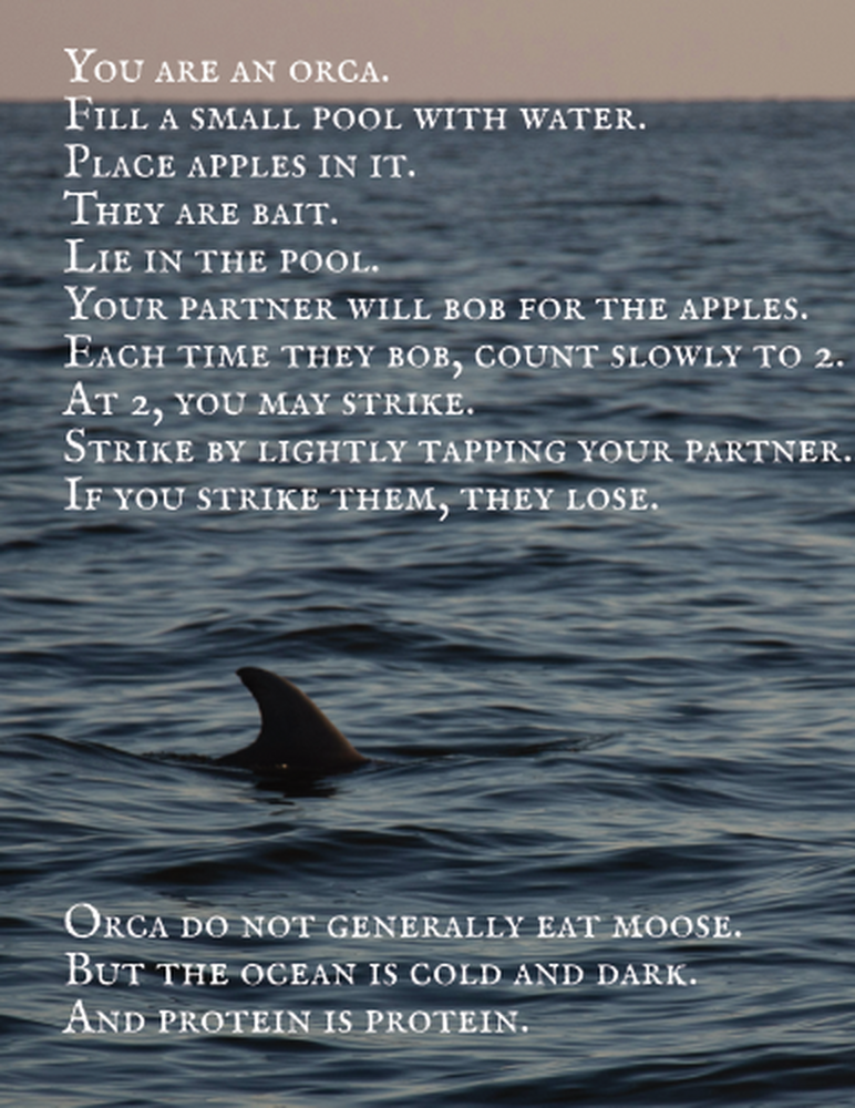 Moose And Orca by kumada1