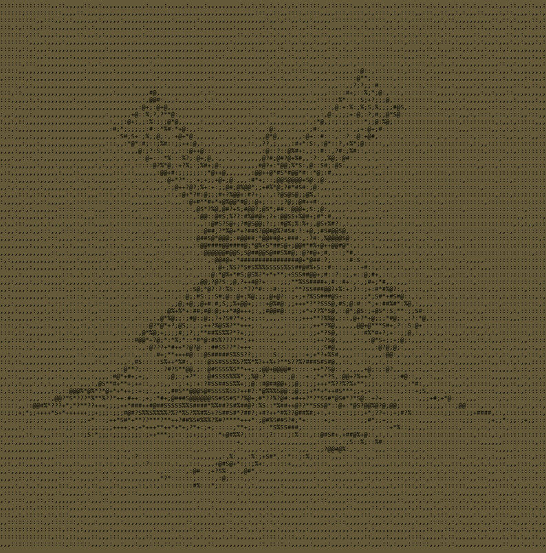 ASCII Engine: Image Visualizer by diVISION+