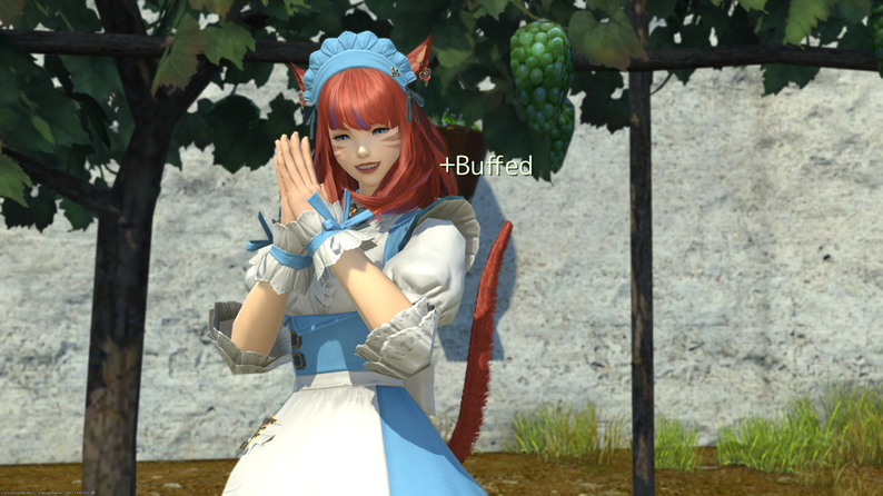 FFXIV Buff & Debuff Maker by Sebastian Scaini, F'ortuna Favore