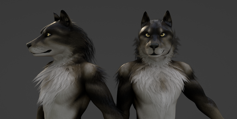 ZealotDKD Wolf Husky Male (Vrchat Blender) by ZealotDKD