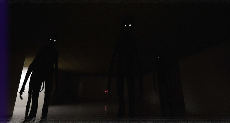 Liminal Leap: Episode One by Wenudu