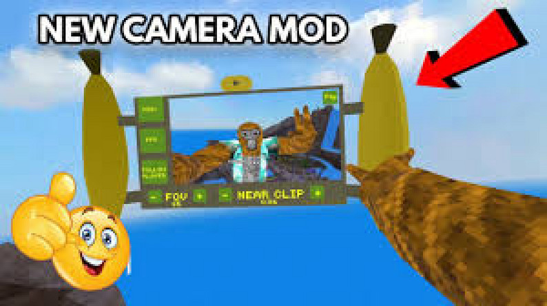 yizzi's camera mod! by wolfvr455