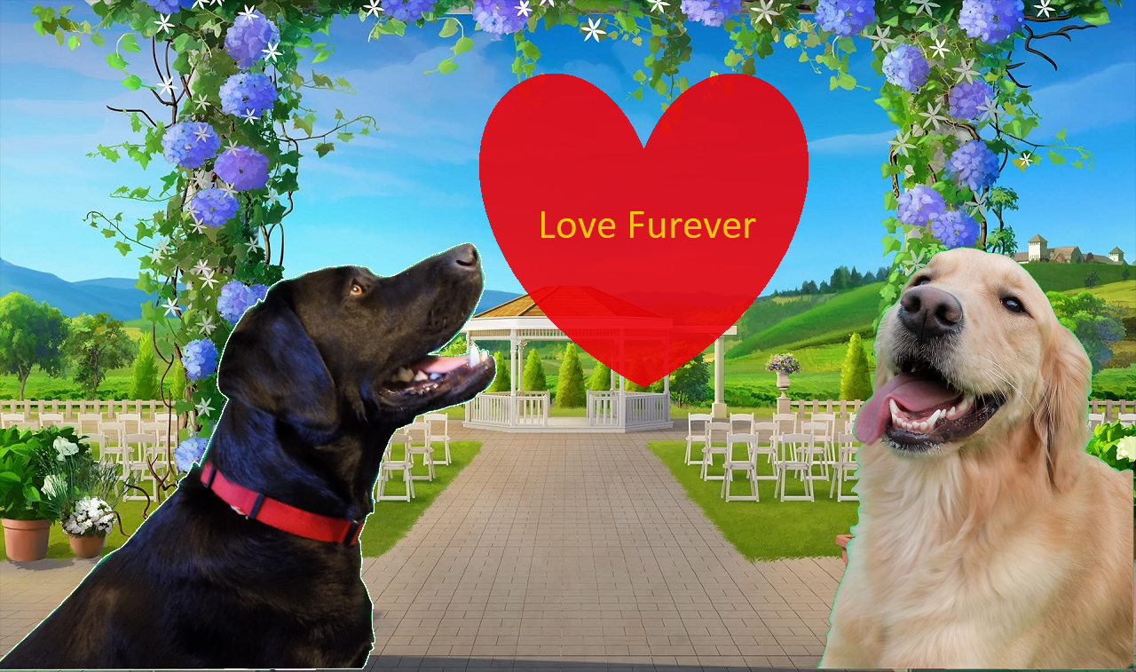 Love Furever by Mutive