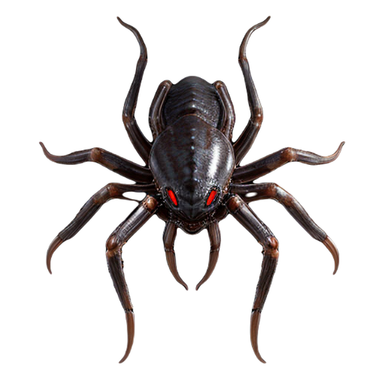 8 Top down Alien Bug Spider Sprites by W_K_Studio