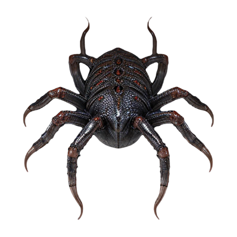 8 Top down Alien Bug Spider Sprites by W_K_Studio