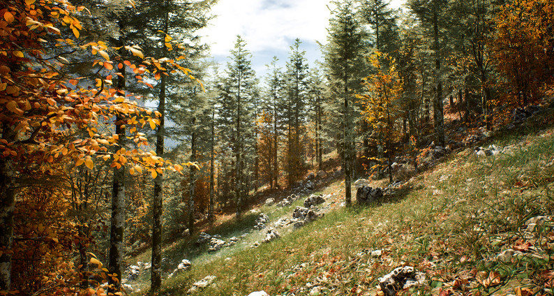 LWR - UE5 Realistic Large Scale Open World Environment by Pelle