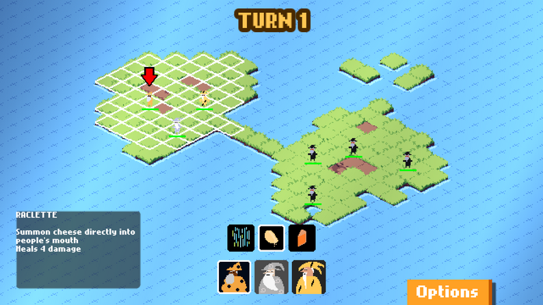 The Wizard Council by Quentin Delvallet