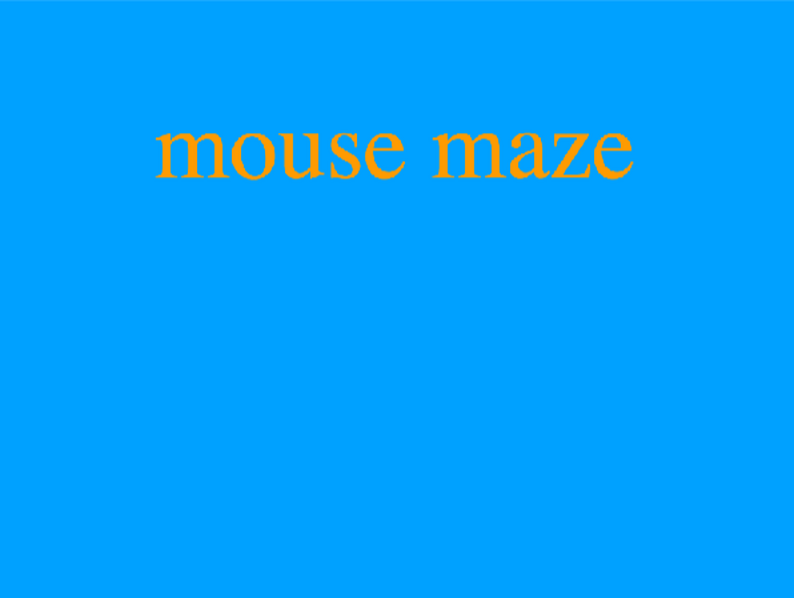 Mouse Maze by LAGZJackson