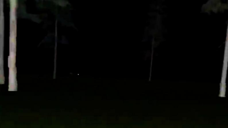 OG Fun Monke Horror by ForeverBloxian