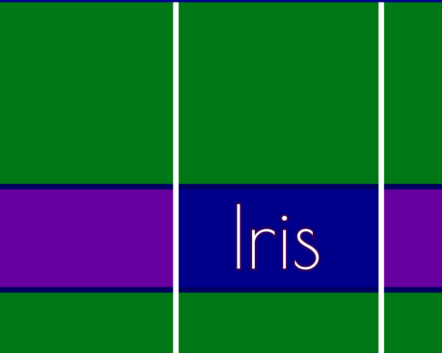 Iris by Galan Montgomery