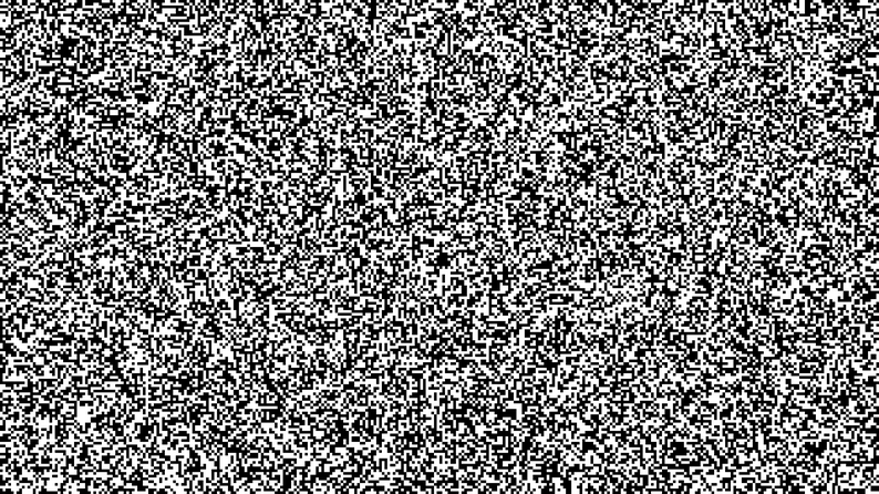 MOTUS by Branta Games