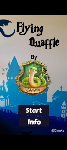 Flying Quaffle by Dinuka Karunathilaka