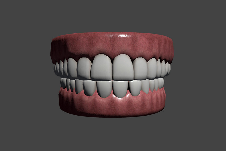 Human Teeth - 3D Model by RedNebulaStudios
