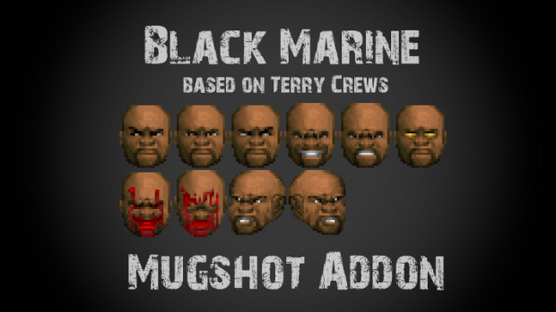 Mugshot HUD Addon Collection by Reactorcore