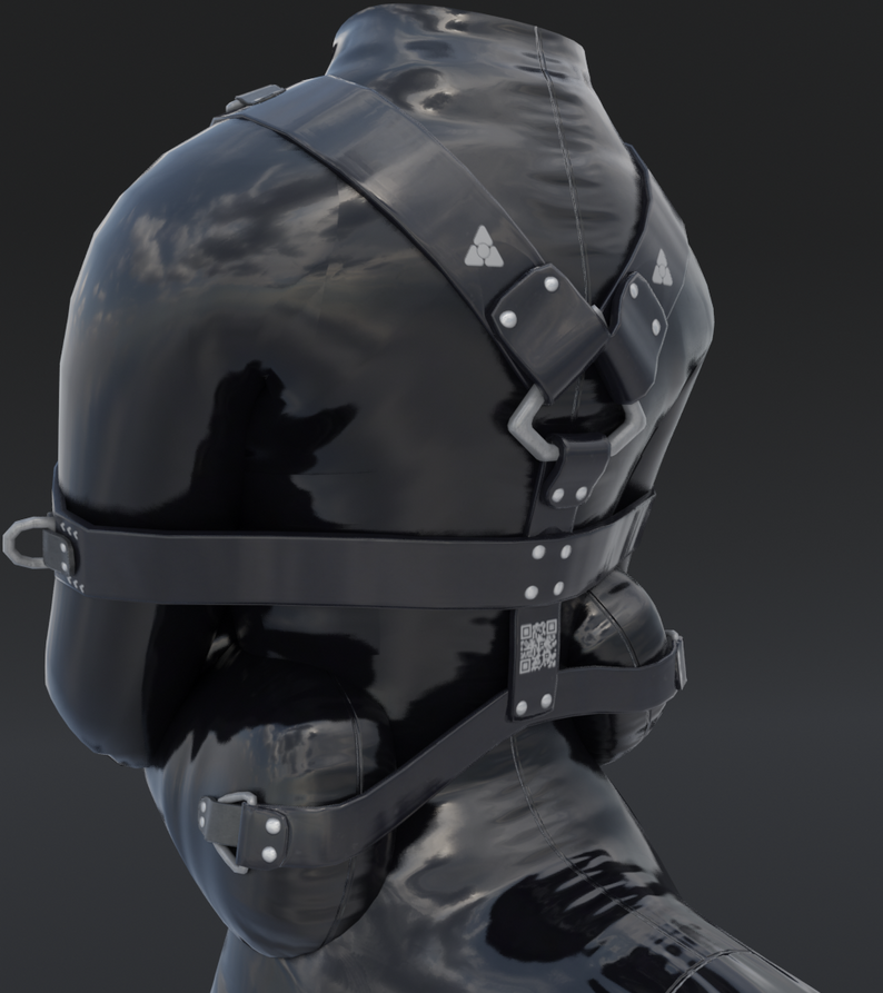 Rexouium Straitjacket for the Latex suit by BoundDevVR