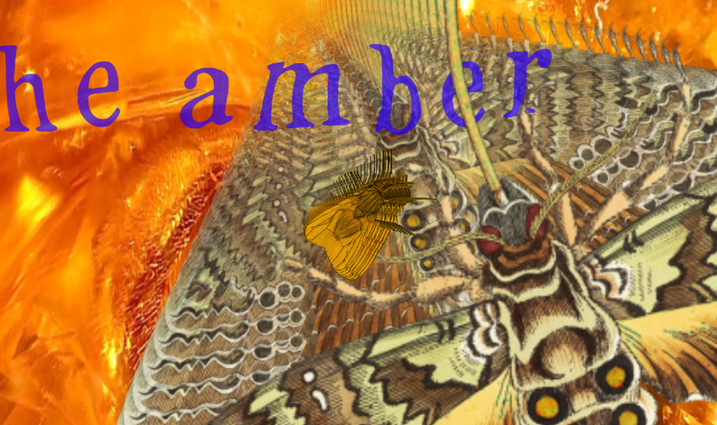 Fly Simulator by Noa Segal