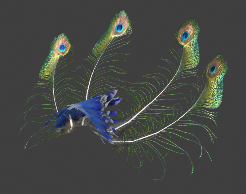 ZealotDKD Bird arm wings and tail Vrchat Blender by ZealotDKD