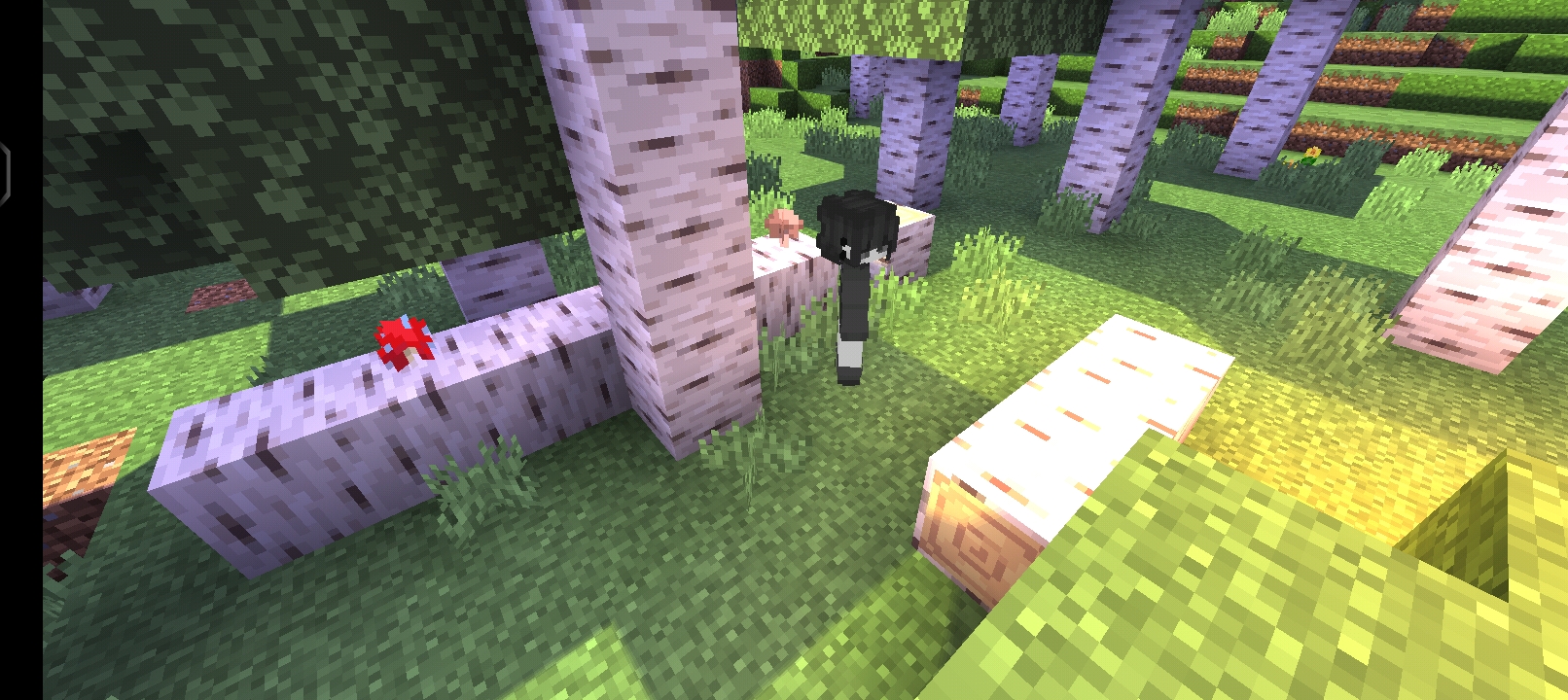 Mineblock-Demo by ThepZQR