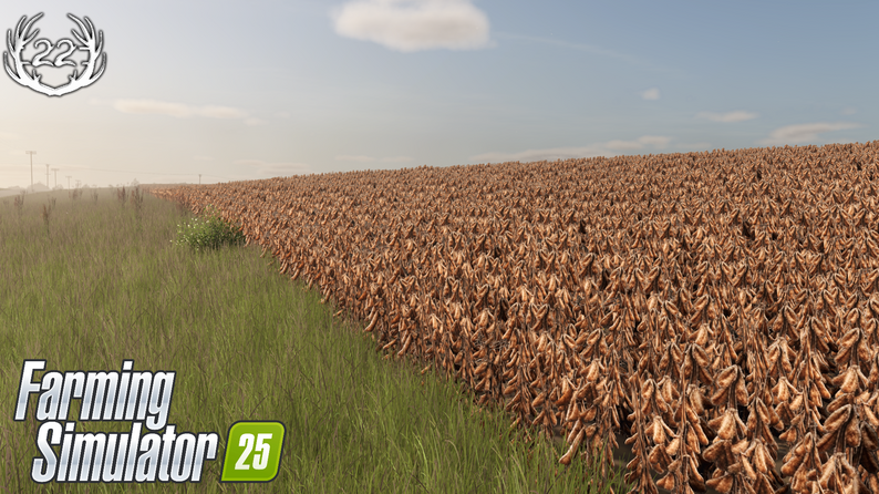 US Soybean Textures by Antler22