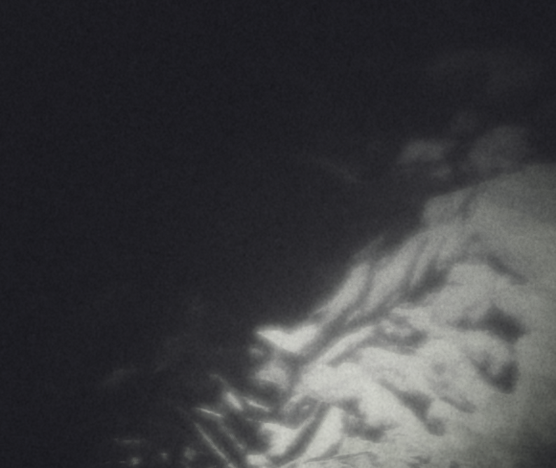 ocean::ephemera by INFINITE TEARS, Farfama