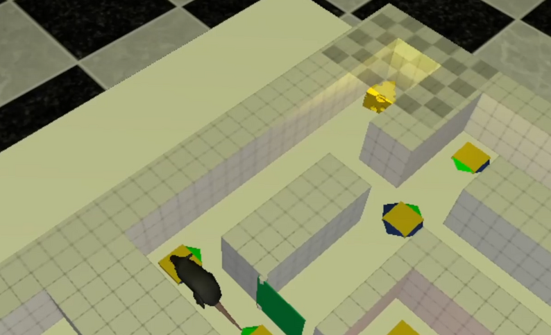 Rat Maze VR by Andrew Jeannett