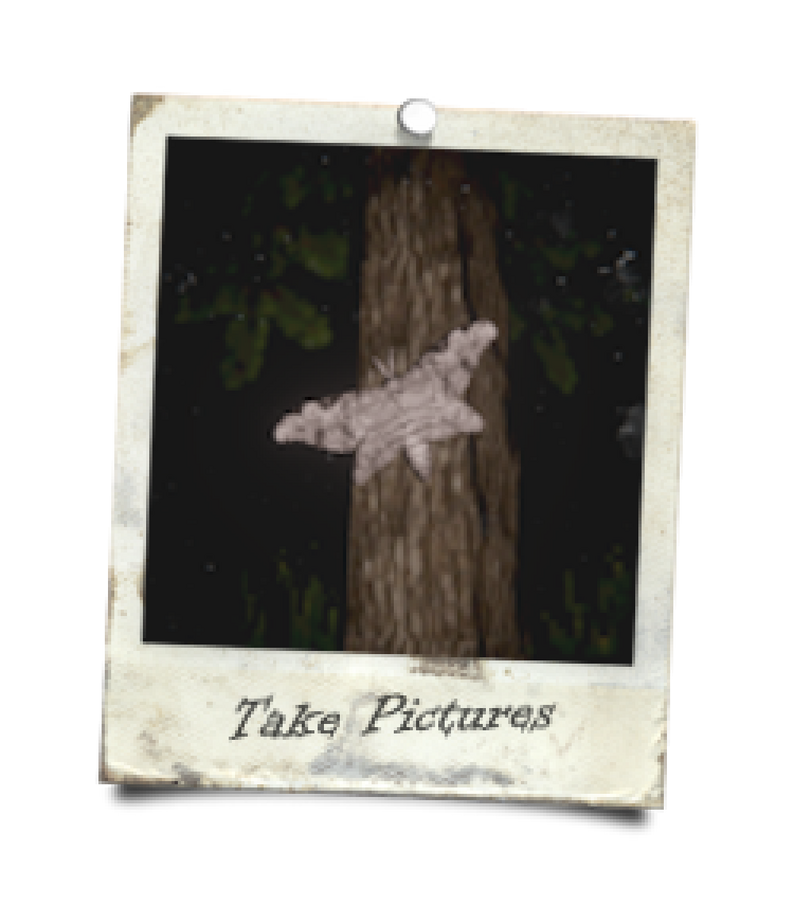 Mothlight (JAM VERSION) by Stig6