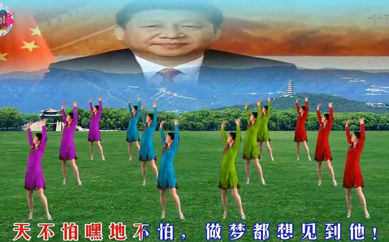 Pongo's Big Day Out (pre-flight checklist) by SlowNibbler