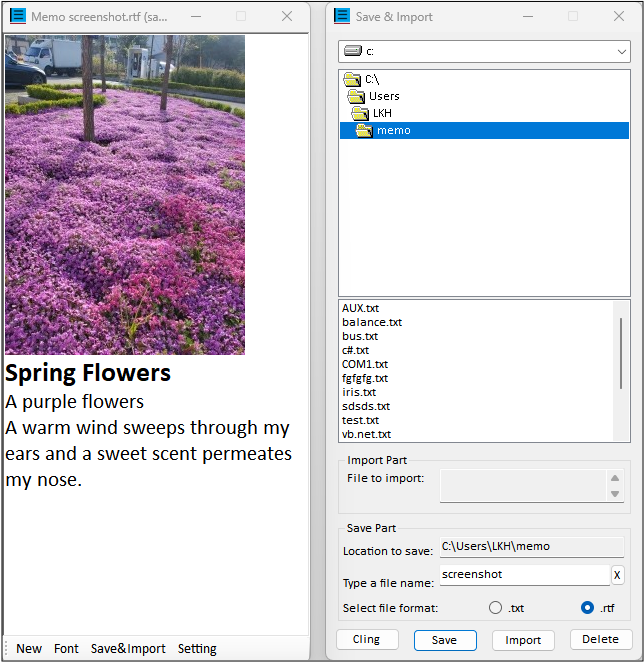 Memo: rtf & txt format by tamtaki
