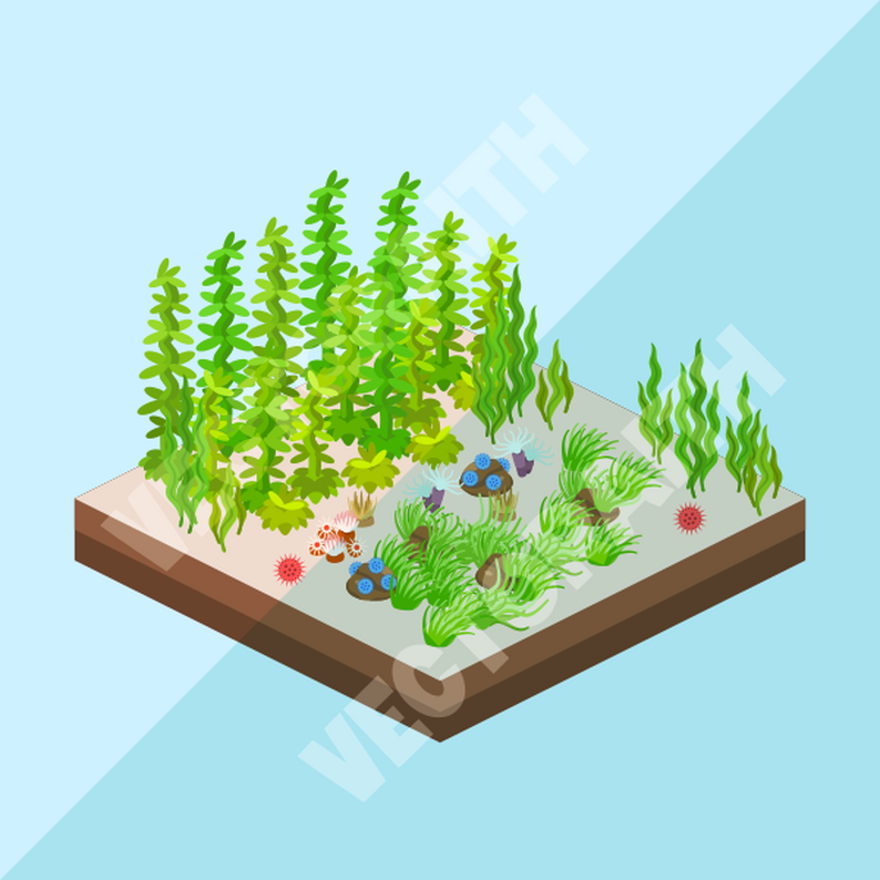 Vector Objects Pack - Marine Biome: Coral Reef, Kelp Forest, and Deep ...