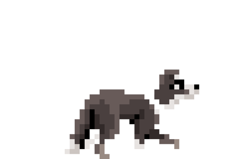 2D Pixel Art Border Collie by DoodleDino