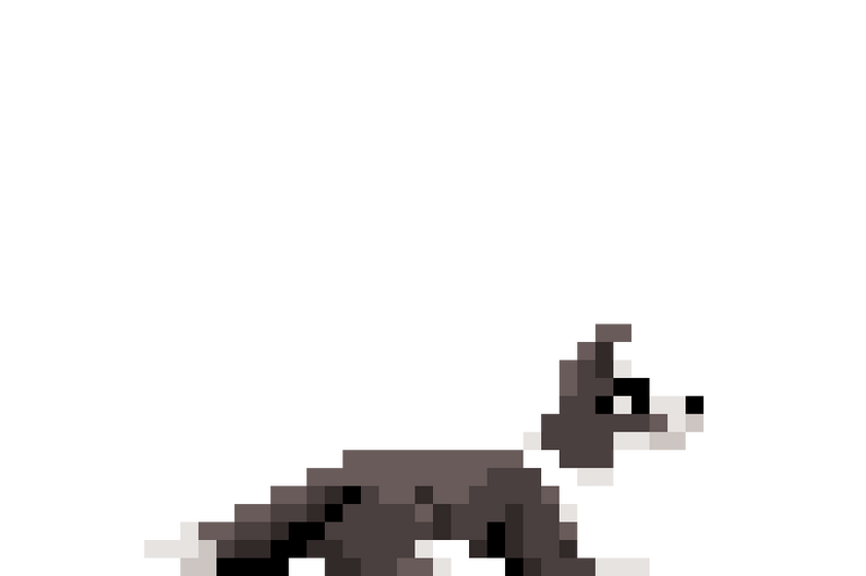 2D Pixel Art Border Collie by DoodleDino
