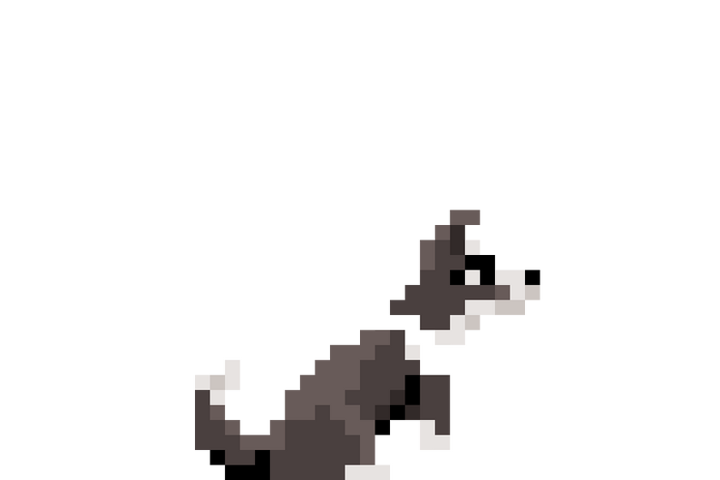 2D Pixel Art Border Collie by DoodleDino