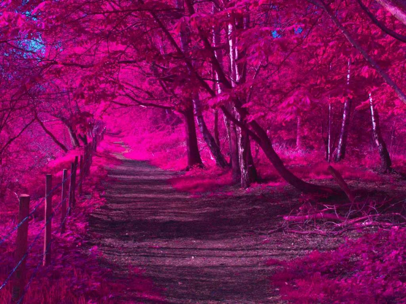 PictureFX Faux Infrared 2024 Mod by PictureFX