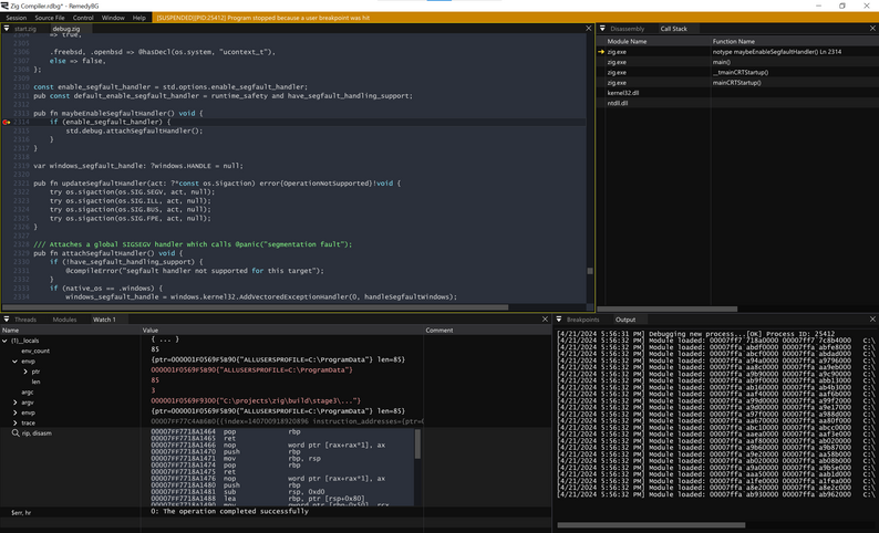 RemedyBG by remedybg