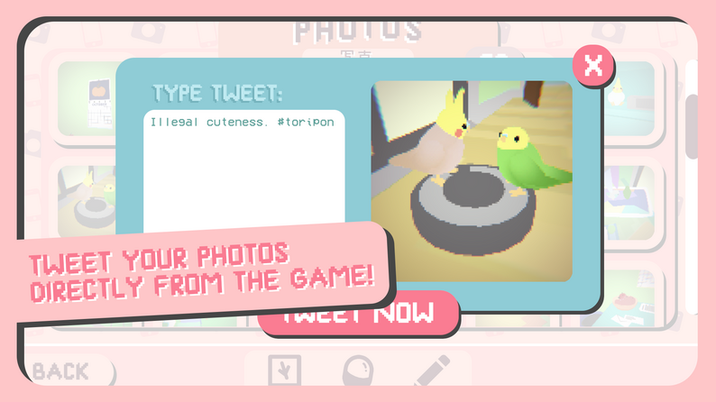 Toripon 鳥ポン by Victoria