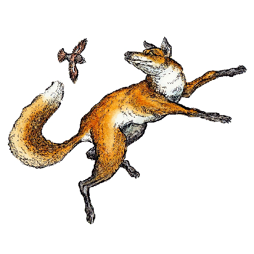 Sigma The Illustrated Alphabet Matching Pairs by Steven Cairney