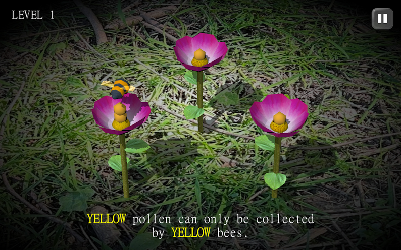 Colour Bee by daviddurham