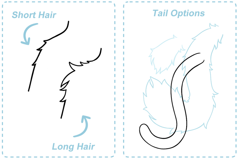 Cat Reference Base by Pluto