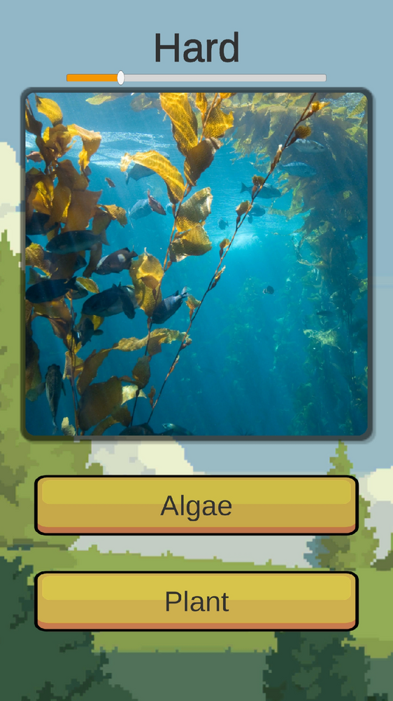 WildLife by RPMgames