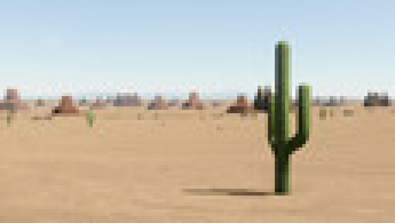 The long drive by Gloak