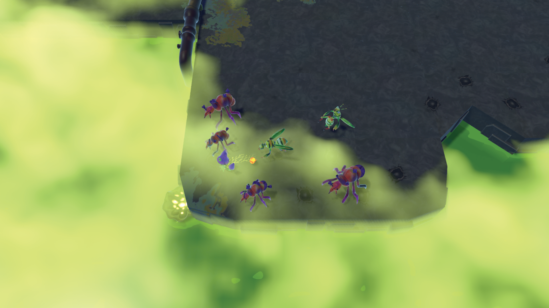 Fungus Takeover by sh4d0w_19, Meke, Acariia, Max Gundermann, NastyCat7