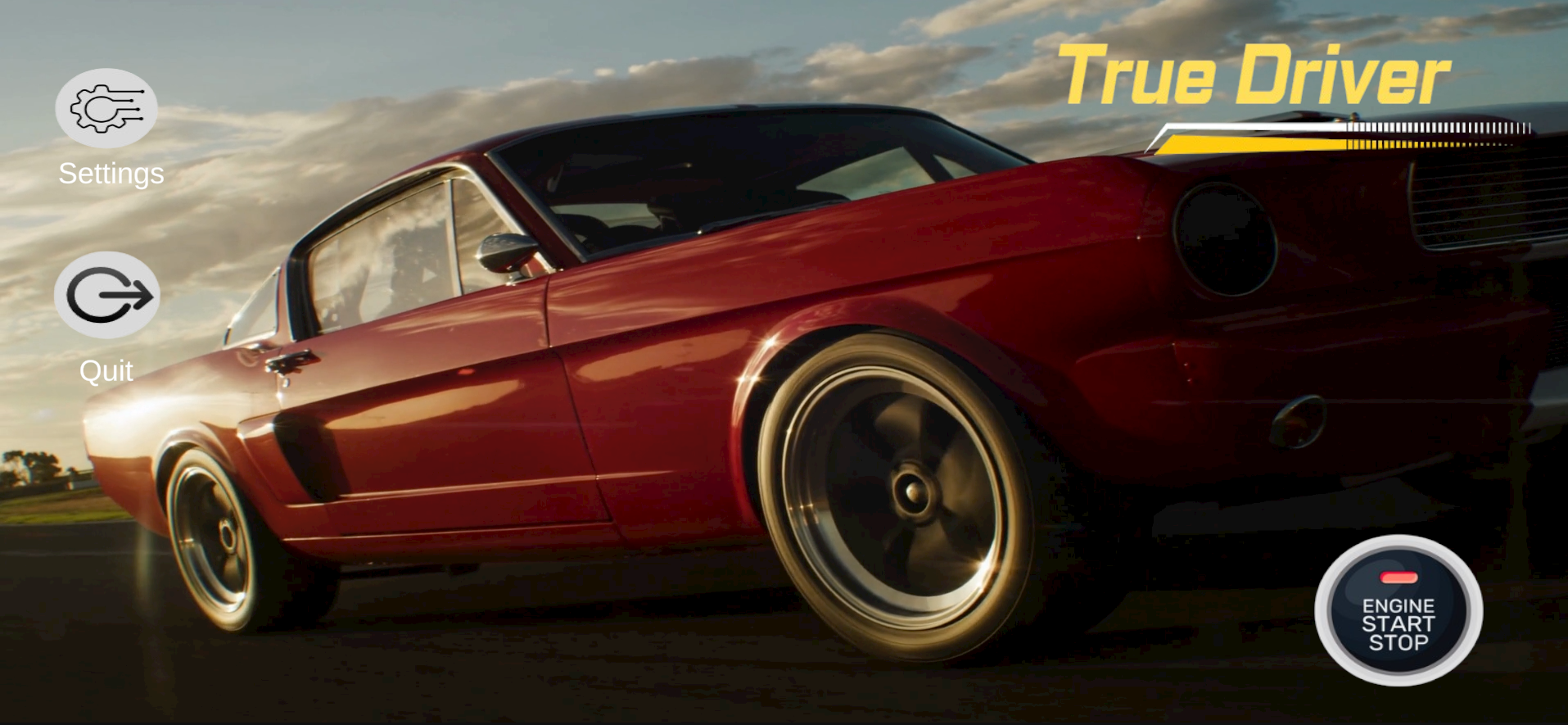 True Driver by wackywahoopizza