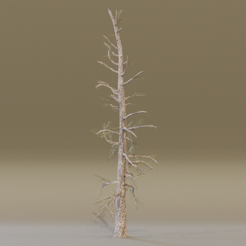 The Larch Siberian Bare Tree by Future/Past Creatives