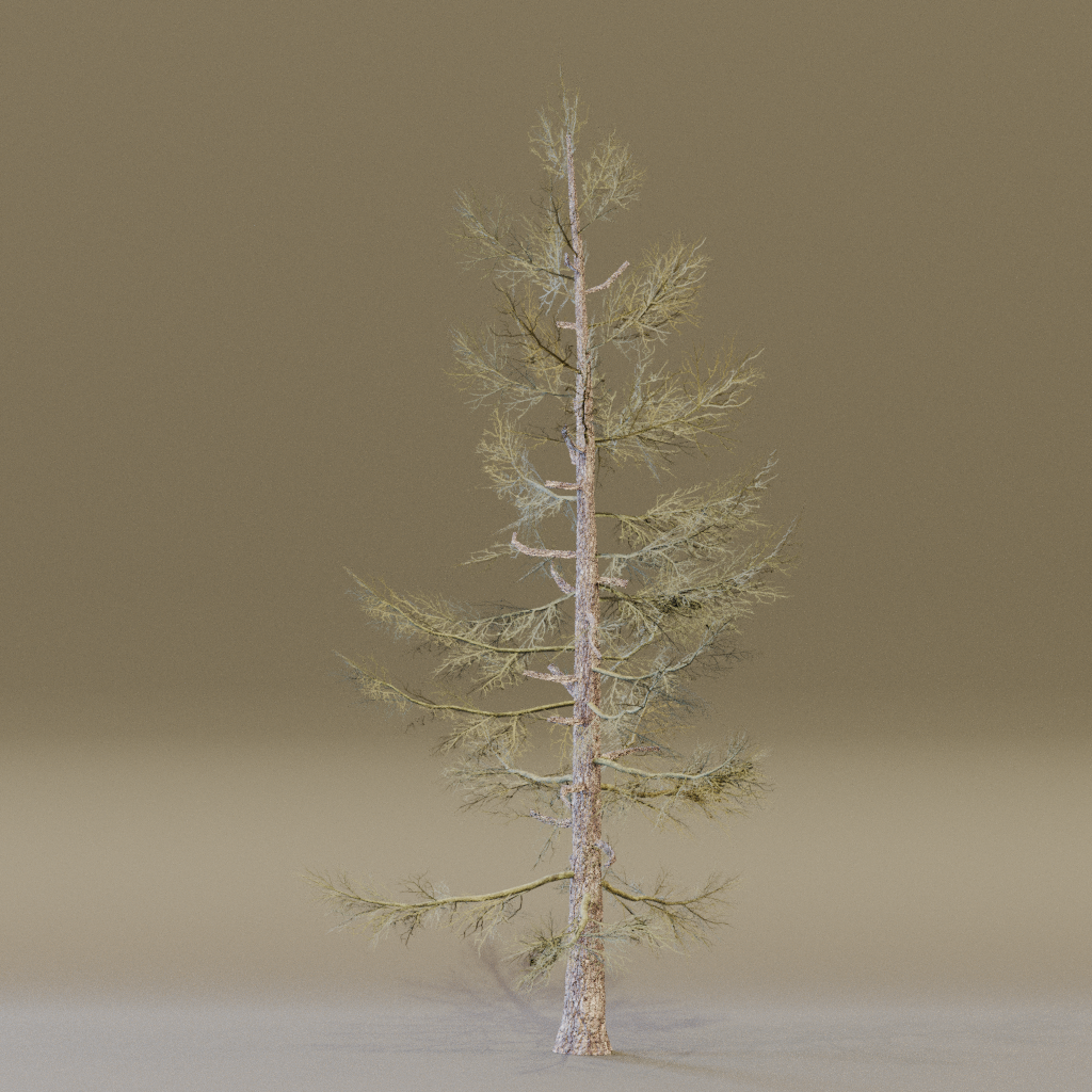 The Larch Siberian Bare Tree by Future/Past Creatives