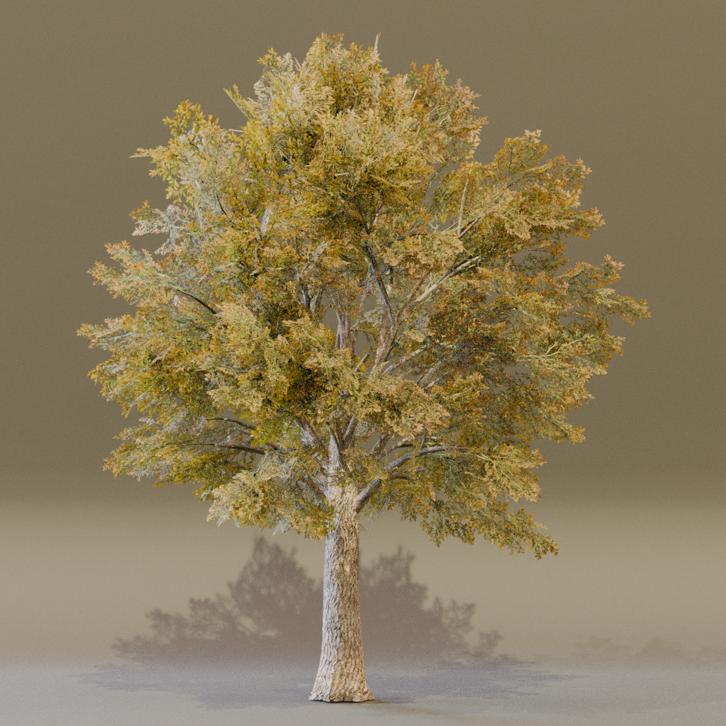 The Siberian Elm Tree by Future/Past Creatives