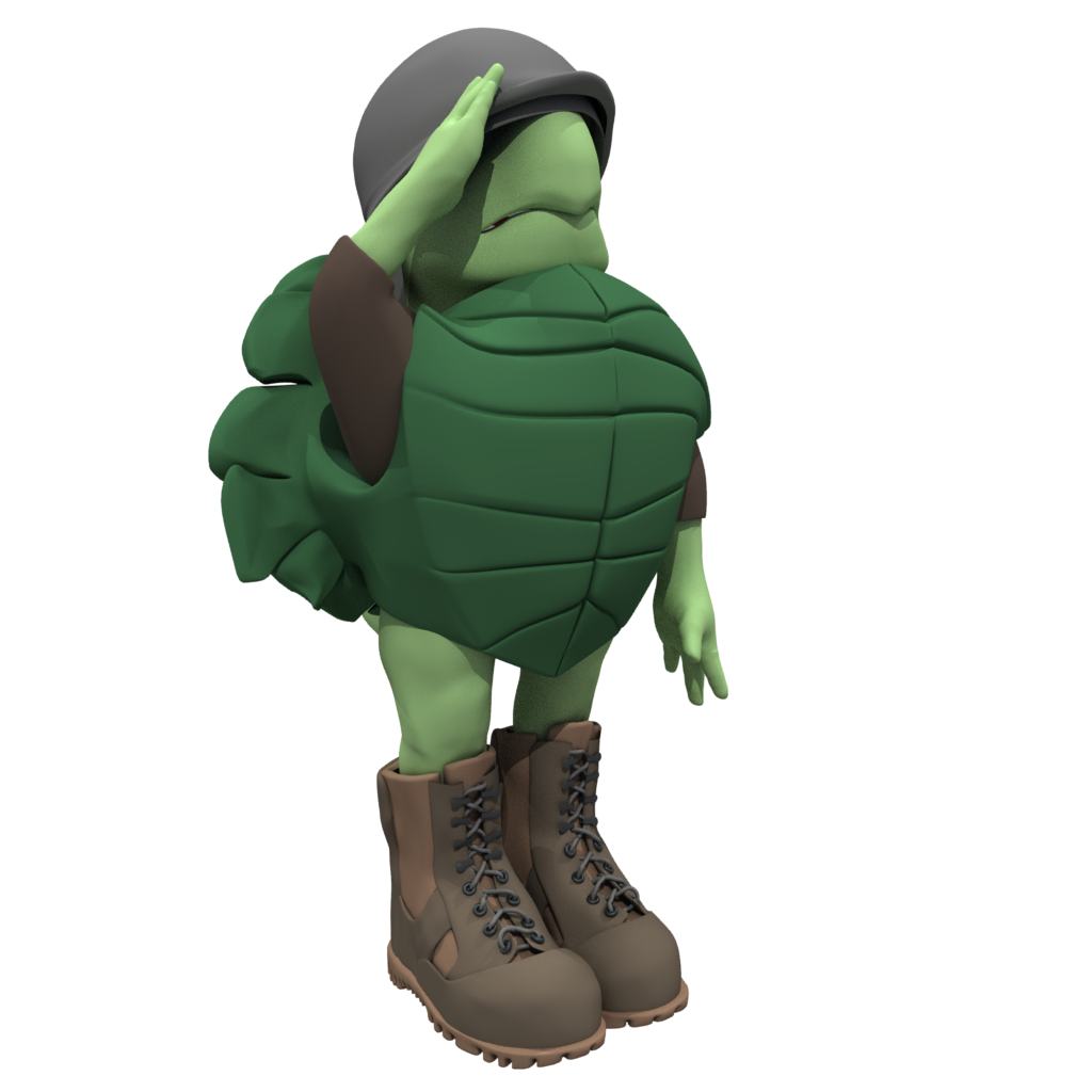 Play Turtle Game by TORIN the Turtle