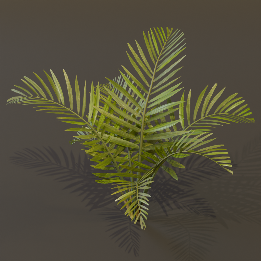 The Alexandra Palm Bush by Future/Past Creatives