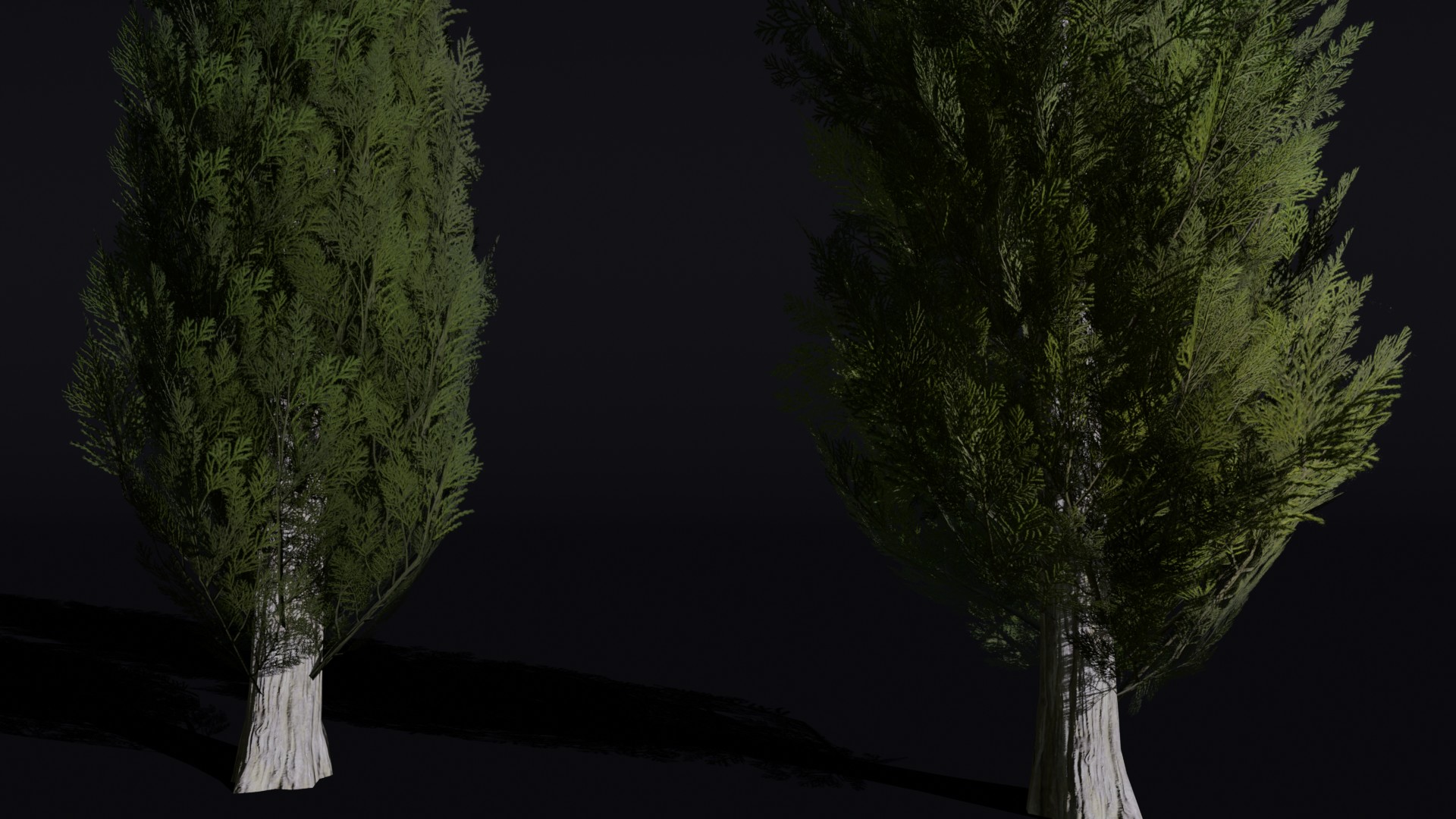 The Cypress Tree by Future/Past Creatives